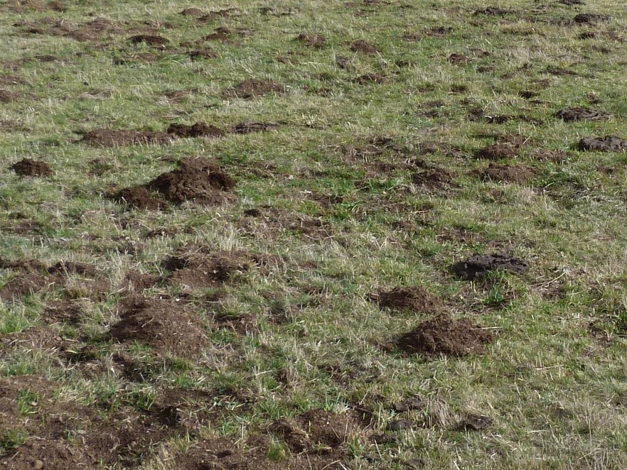 DEROGATION RATRON GW | DRAAF Auvergne-Rhône-Alpes