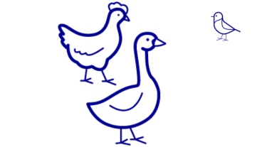 Rapport sous une approche « Une seule santé/ One Health » sur le virus ...